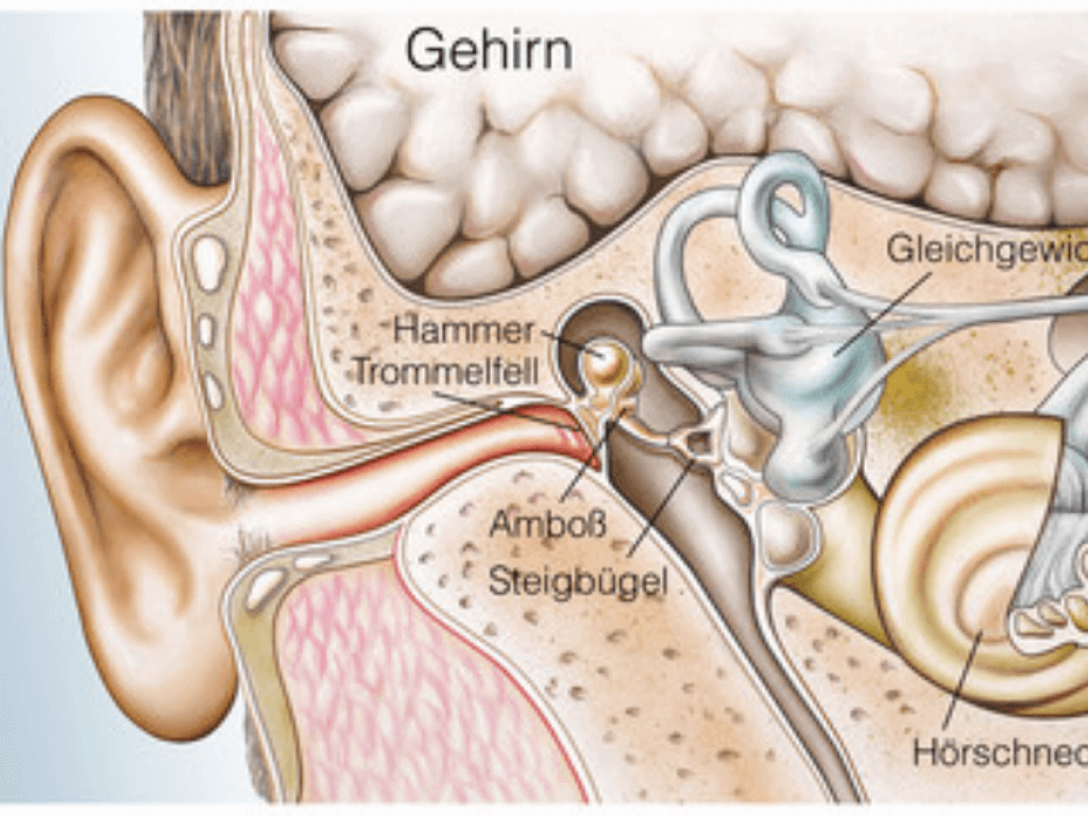 Signs That Tinnitus is Going Away