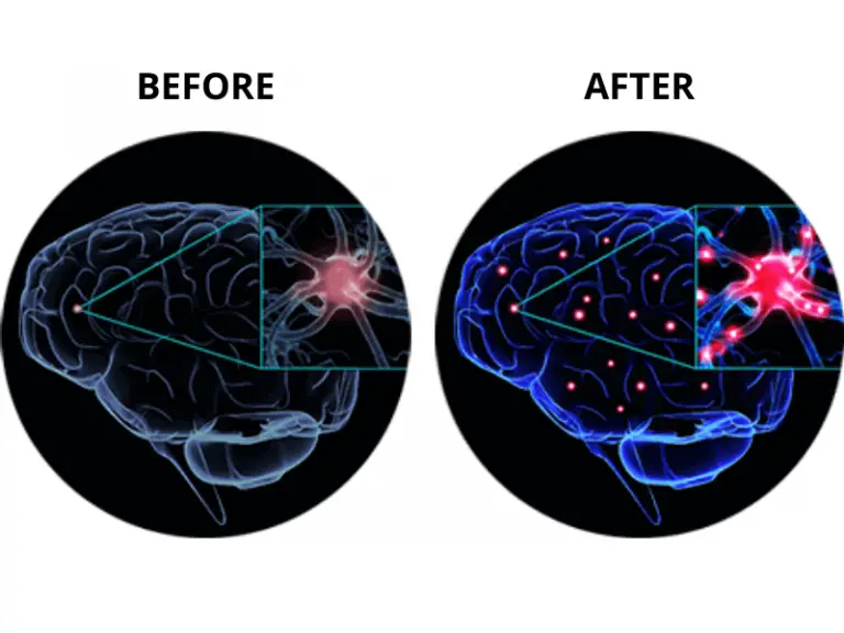 GenBrain Review- Does it Really Work? Or Scam![Must Read Before Try]