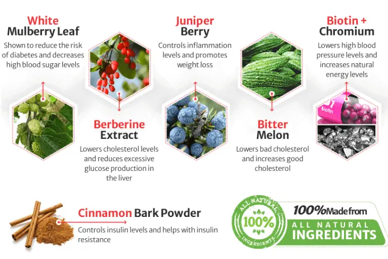 Blood Balance Formula Reviews: Does It Managing Healthy Blood Levels?